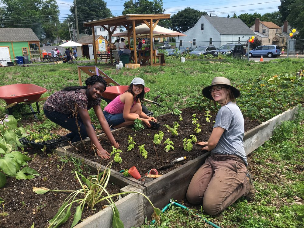 Reservoir Community Farm: Urban Agriculture in Action – The Funders Network