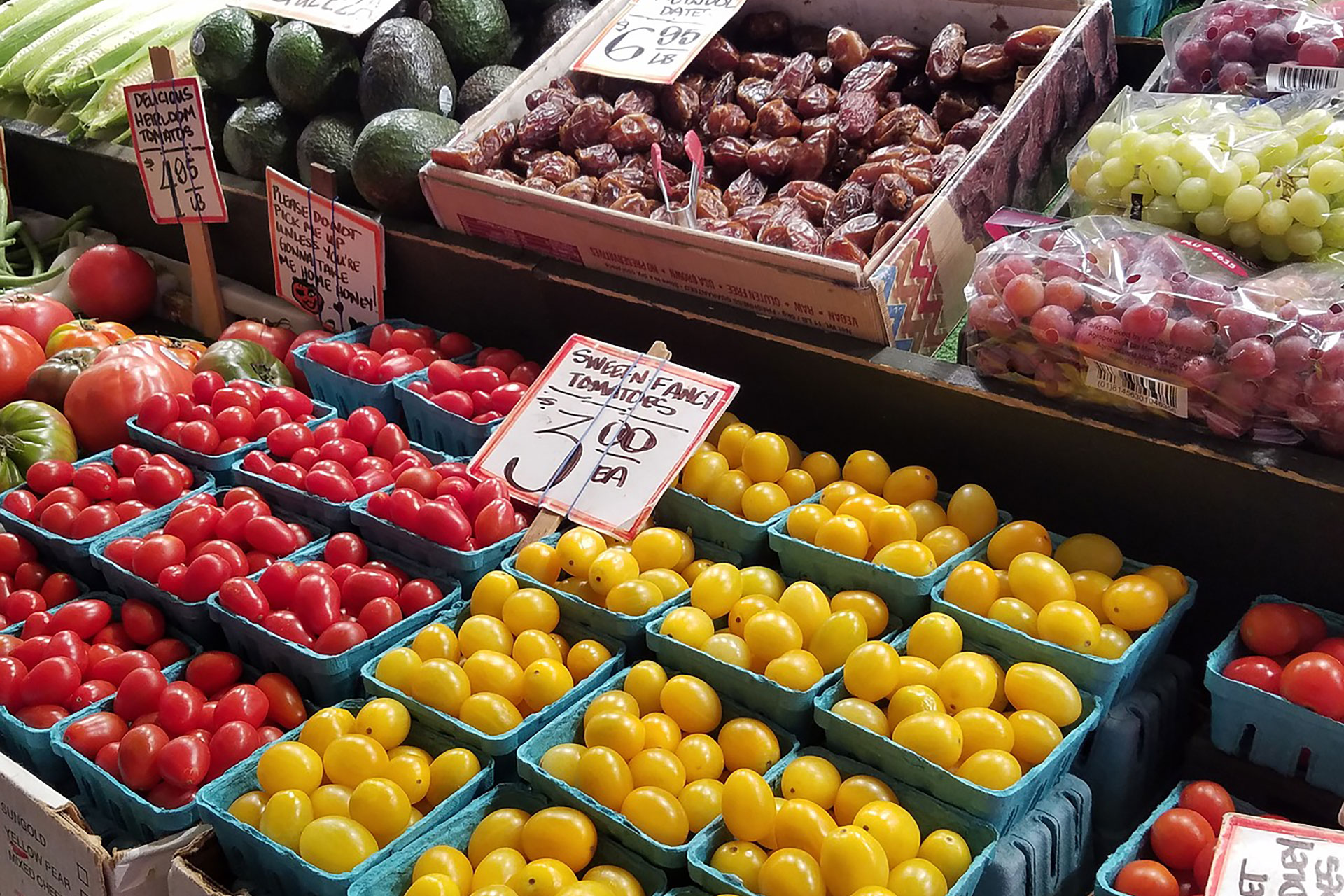 Catalyzing Indianapolis’ Local Food System: Indy Food Council – The ...