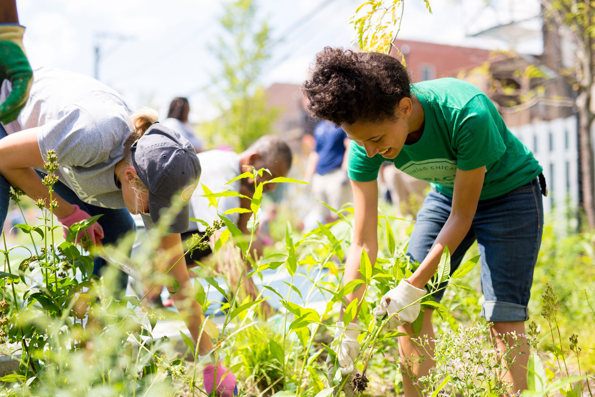 The Funders Network – Impact at the Intersection of Environment ...